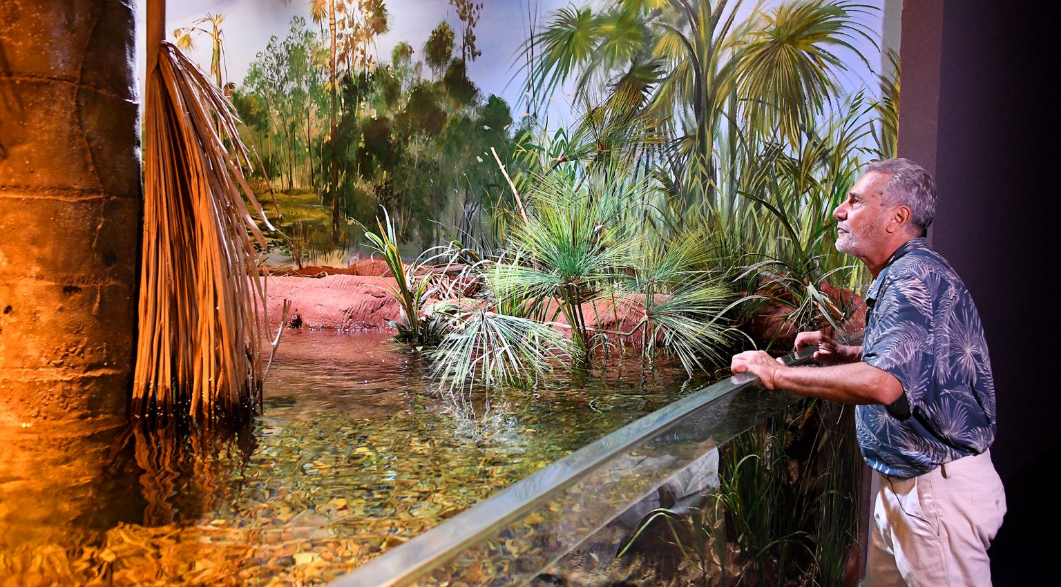 Morre Roberto Gallo, responsável pela cenografia do Bioparque Pantanal ...